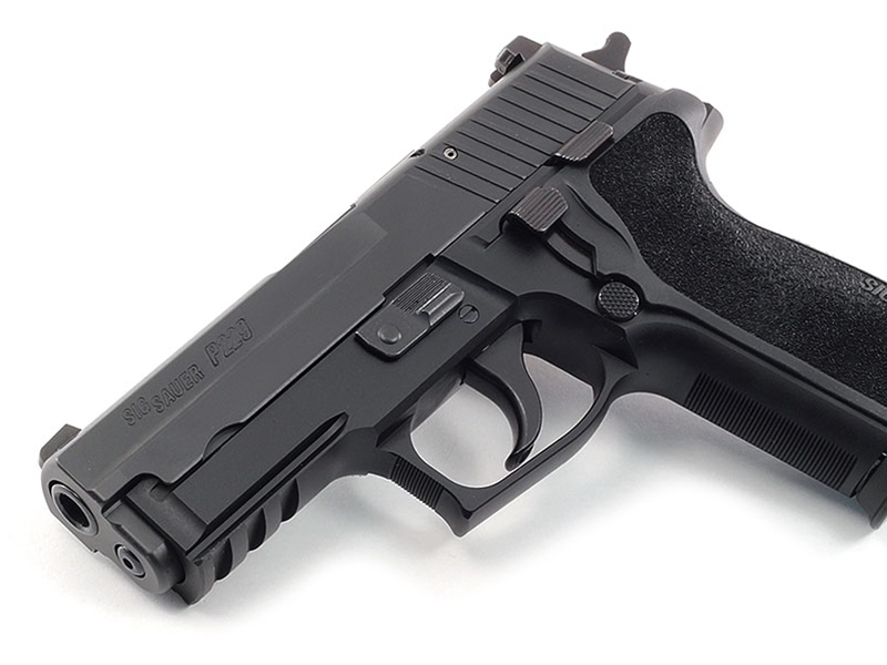 Sig P229r